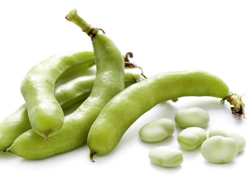 Pupas un pupiņas mājlopu ēdienkartē. “Praktiskais Latvietis” atbild ...