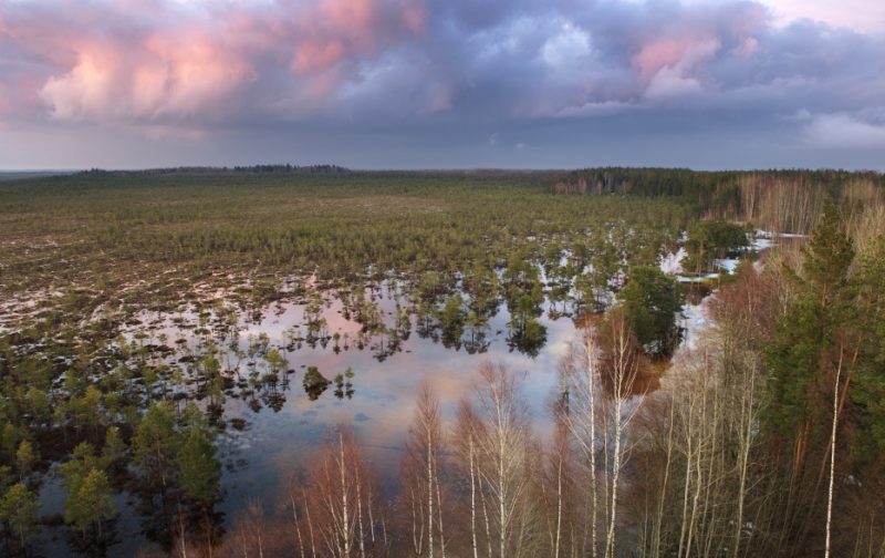 FOTO. Teiču dabas rezervāts ieguvis Eiropas neskarto dabas teritoriju ...
