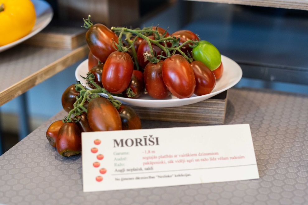 Krāsainie, melnie, dzeltenie, plūmīšu, ķiršu tomāti: labākās un ...